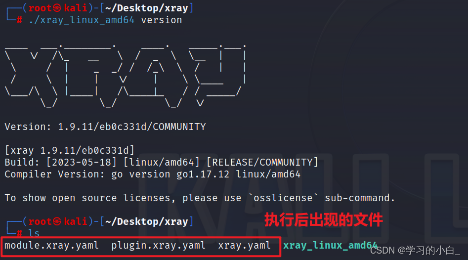 Xray——Windows及Linux安装_xray linux-CSDN博客
