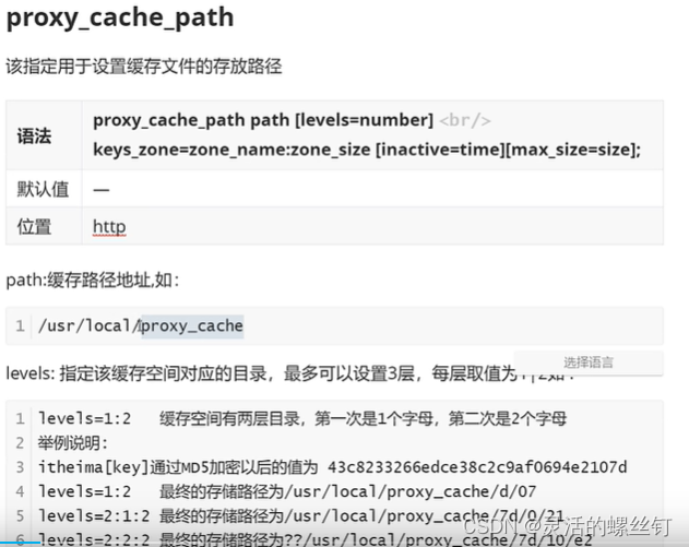 Nginx缓存配置与管理指令详解-CSDN博客