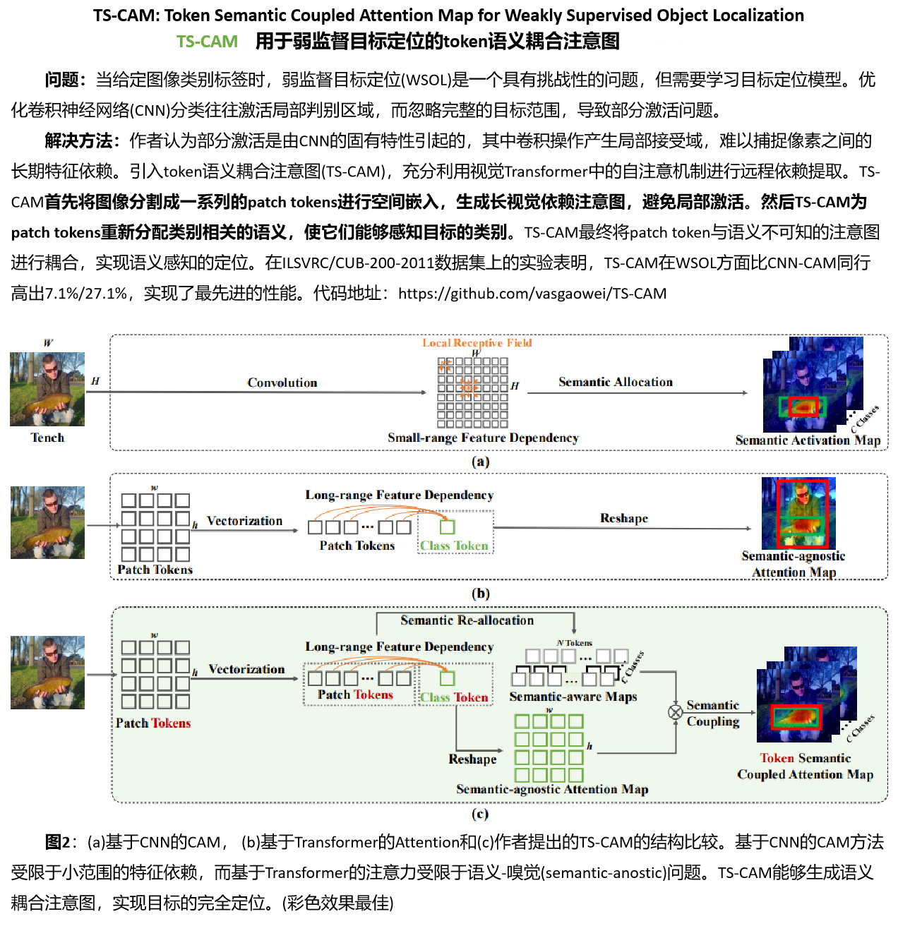 弱监督目标定位 | TS-CAM:用于弱监督目标定位的token语义耦合注意力图_spatial-aware token for weakly supervised object l-CSDN博客