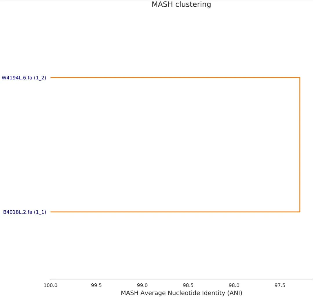 drep：微生物基因组快速去冗余-文章解读+帮助文档+实战教程-CSDN博客
