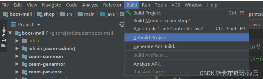 springboot启动报错Error:Kotlin: Module was compiled with an incompatible version of Kotlin. The ...