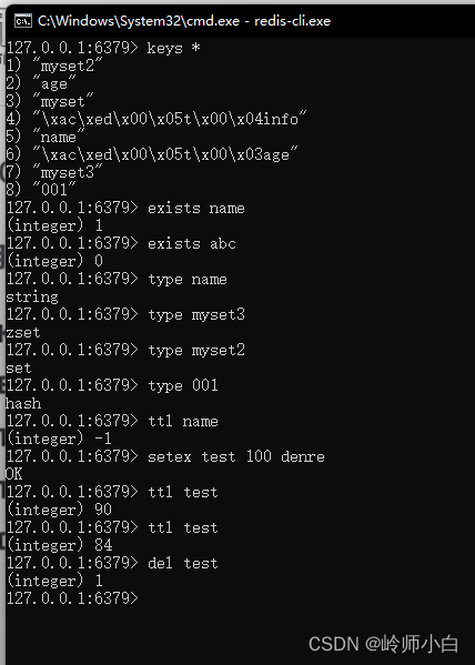 Redis详细介绍及在java中的应用java中resdis组件使用 Csdn博客