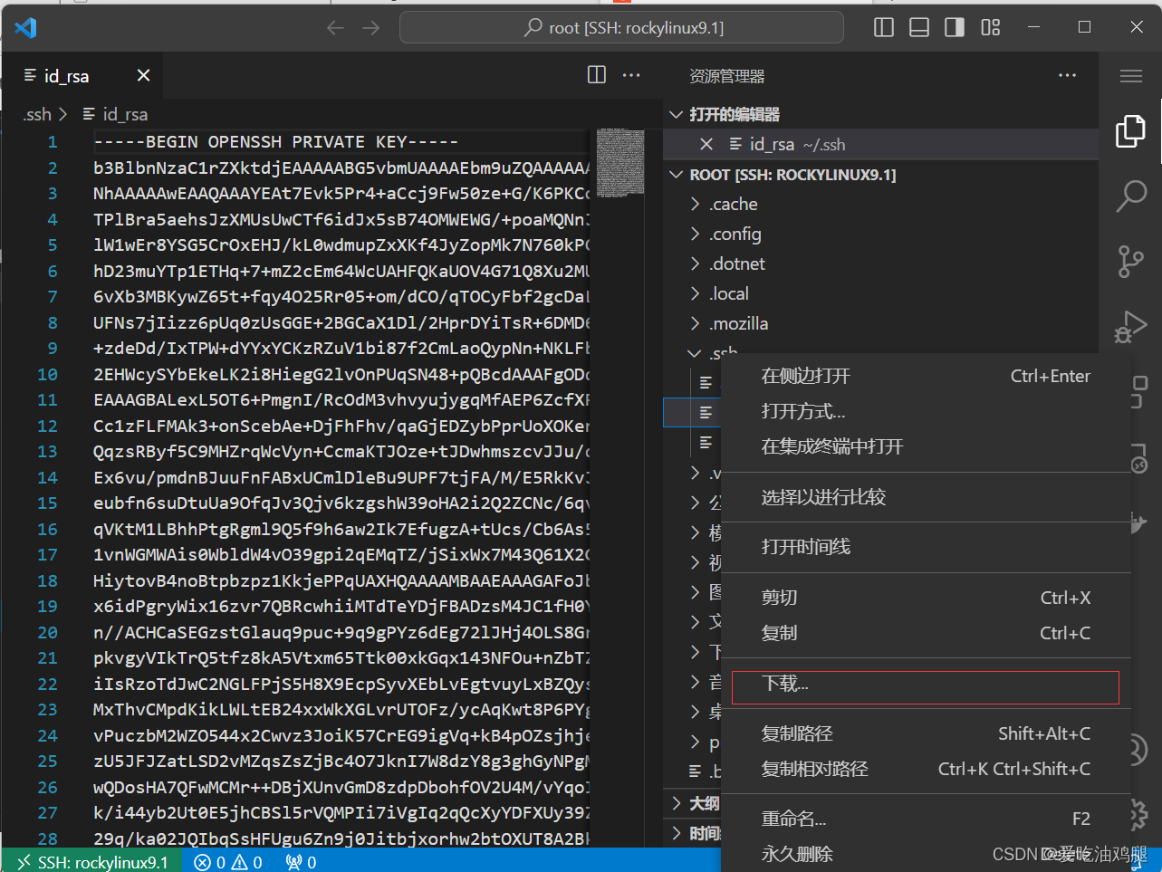 Vscode远程免密连接Linux虚拟机，并配置C/C++运行环境_vscode远程连接虚拟机中的linux-CSDN博客