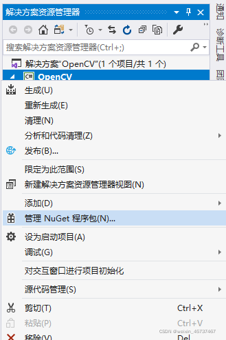opencvsharp4 在vs2019 winform中读取和显示图像_opencvsharp读取图片到winform-CSDN博客