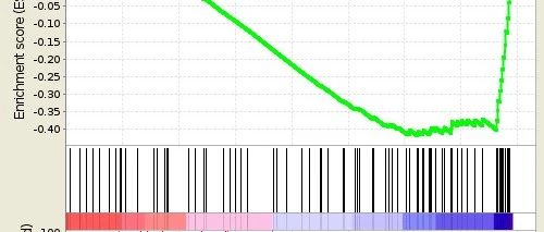gsea富集分析结果怎么看_基因集富集分析(Gene Set Enrichment Analysis, GSEA）-CSDN博客
