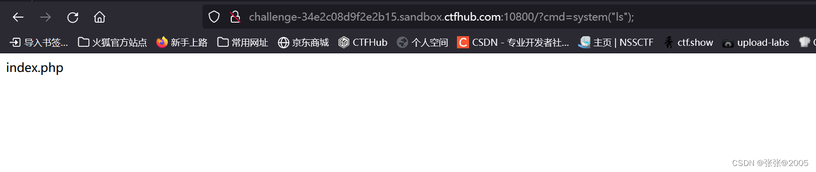 RCE复习（ctfhub上）_ctfs rce flag-CSDN博客