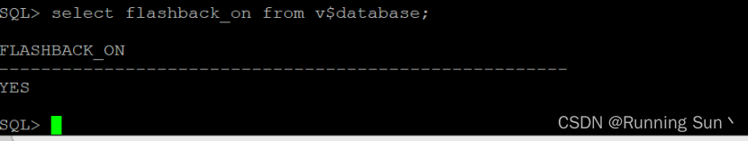 Oracle闪回详解（闪回查询，闪回数据，回退数据，闪回表，闪回数据库，闪回快照，闪回主备库（恢复关系），闪回归档，注意事项，有关闪回常用查询命令）_oracle 闪回-CSDN博客