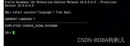 linux下sqlplus登录oracle显示问号处理办法_sqlplus 登录后显示???-CSDN博客
