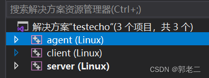【C++】HP-Socket（一）： 下载、Linux上编译、Windows远程编译Linux版本_hpsocket linux-CSDN博客