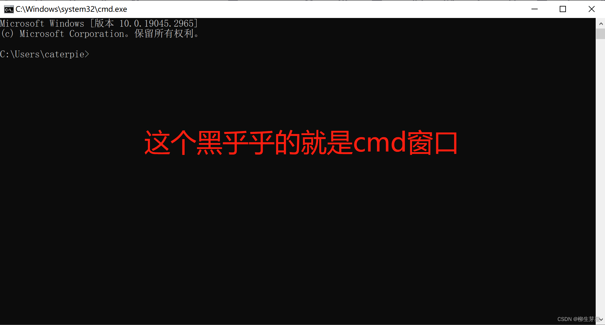 --AutoLeaders--2023全栈组系列教程 第1章 Python环境的安装与配置_clear the package cache upon completion-CSDN博客