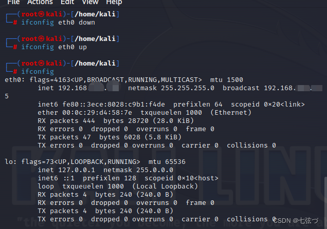 kali Linux 连接 Xshell_kali可以使用shell链接吗-CSDN博客
