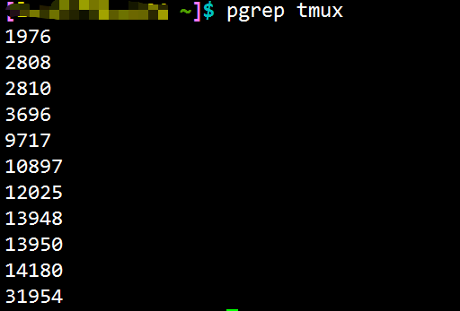 （一）tmux 出现 tmux protocol version mismatch 问题，具体解决方案！-CSDN博客