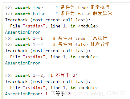 python笔记：断言assert_assertgenerated python-CSDN博客