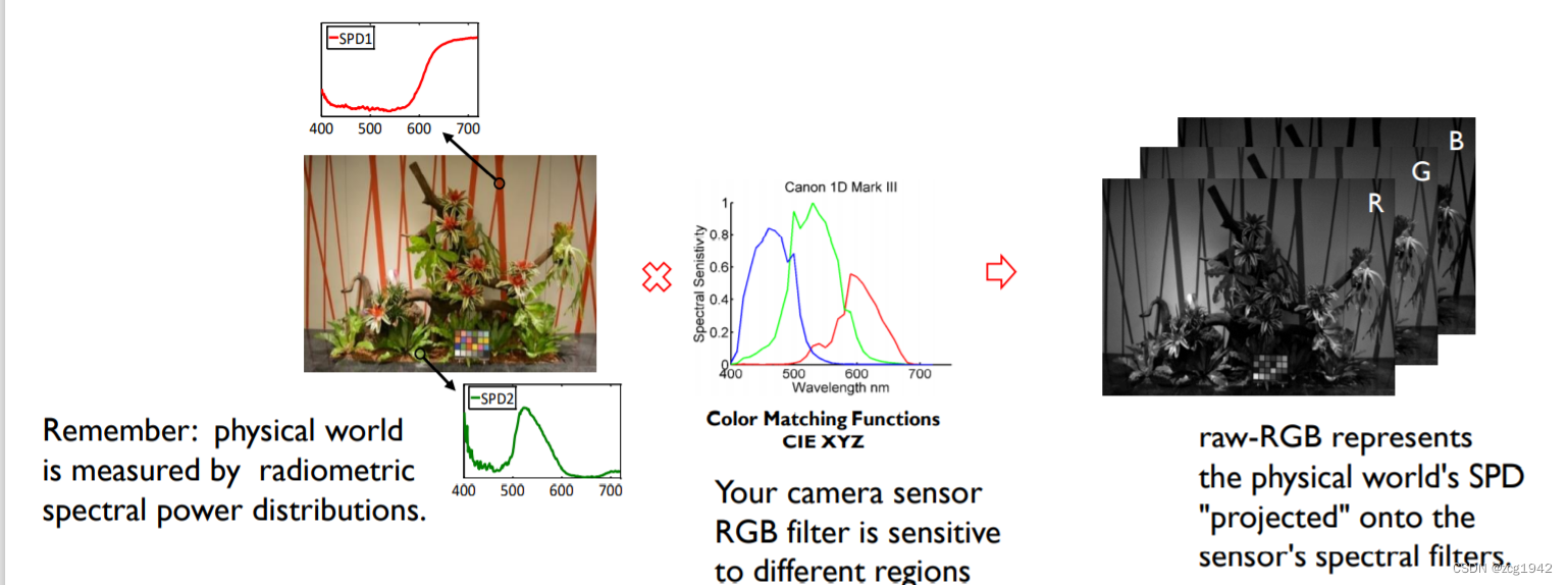 成像到sensor后发生了什么——ISP_sensor isp-CSDN博客