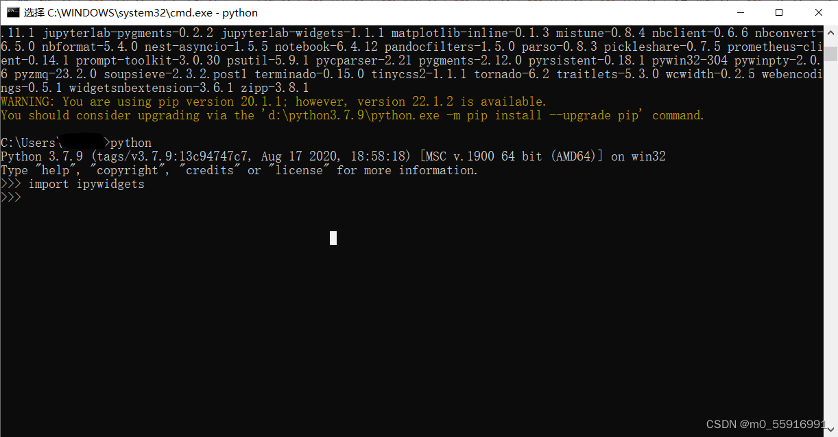 python第三方模块的安装和使用_ipywidgets安装-CSDN博客