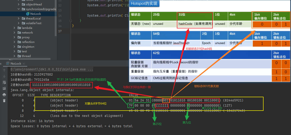 JUC高级九-Synchronized与锁升级_jdk 取消偏向锁-CSDN博客