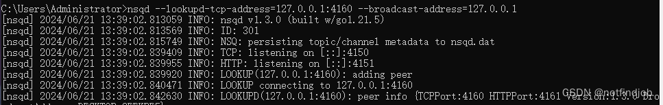 nsq教程-安装和启动_nsq 安装-CSDN博客