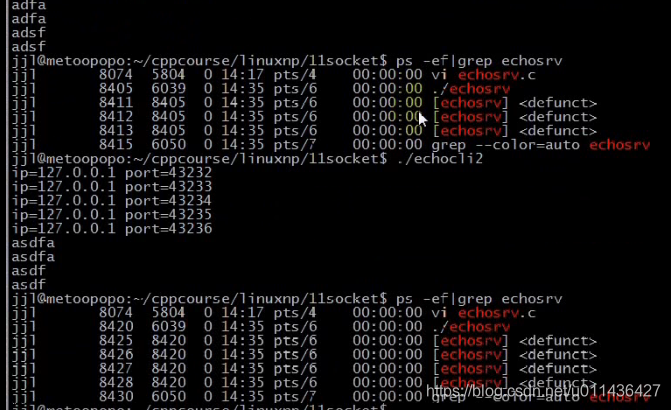 （P11）socket编程（六）：TCP回射客户/服务器、TCP是个流协议、僵进程与SIGCHLD信号_socket sigchld-CSDN博客