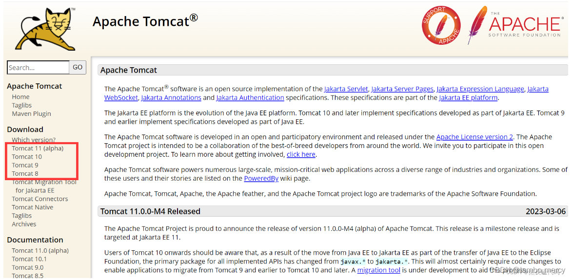 Tomcat入门：安装与项目部署指南-CSDN博客