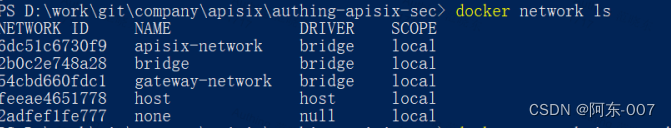 本地 Docker 发布 Java 项目,连接本地 Redis 配置docker Java Redis通信 Csdn博客