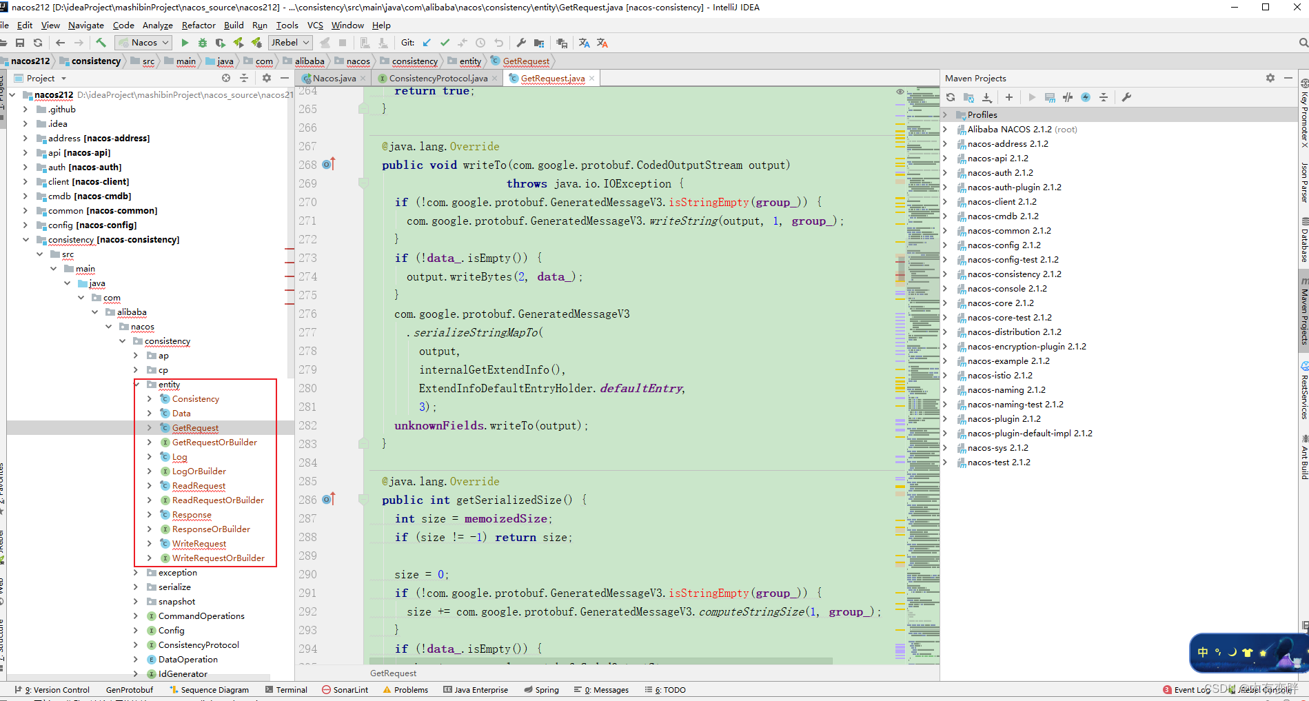 Nacos源码编译及启动（超级详细）_nacos源码启动-CSDN博客