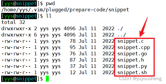 Linux中vim的预备代码（prepare-code）设置_vim 预设代码-CSDN博客