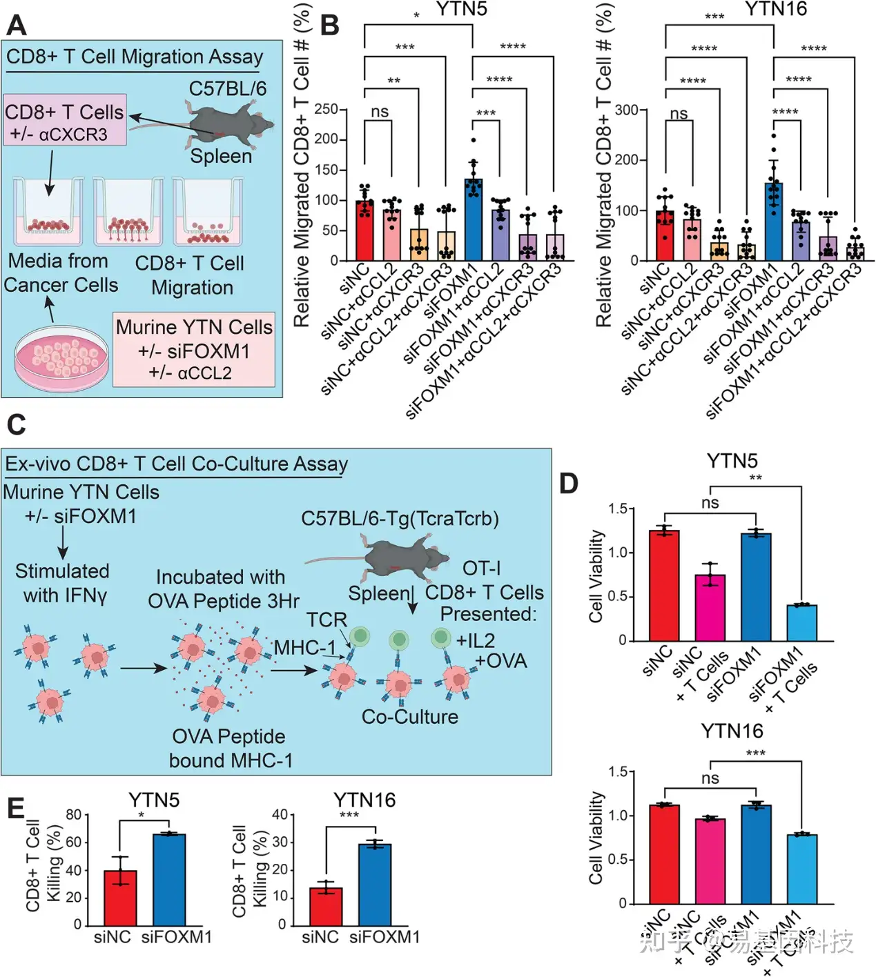 WGBS+ChIP-seq等表观组分析揭示FOXM1 是抗肿瘤免疫应答的关键调控因子_de-chen lin-CSDN博客