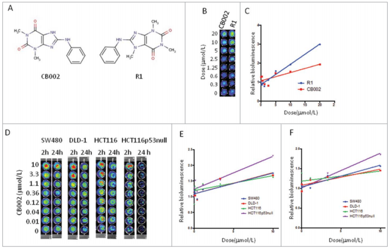 AbMole| ChemBridge全新抗肿瘤化合物筛选--恢复p53，抑制结肠癌-CSDN博客
