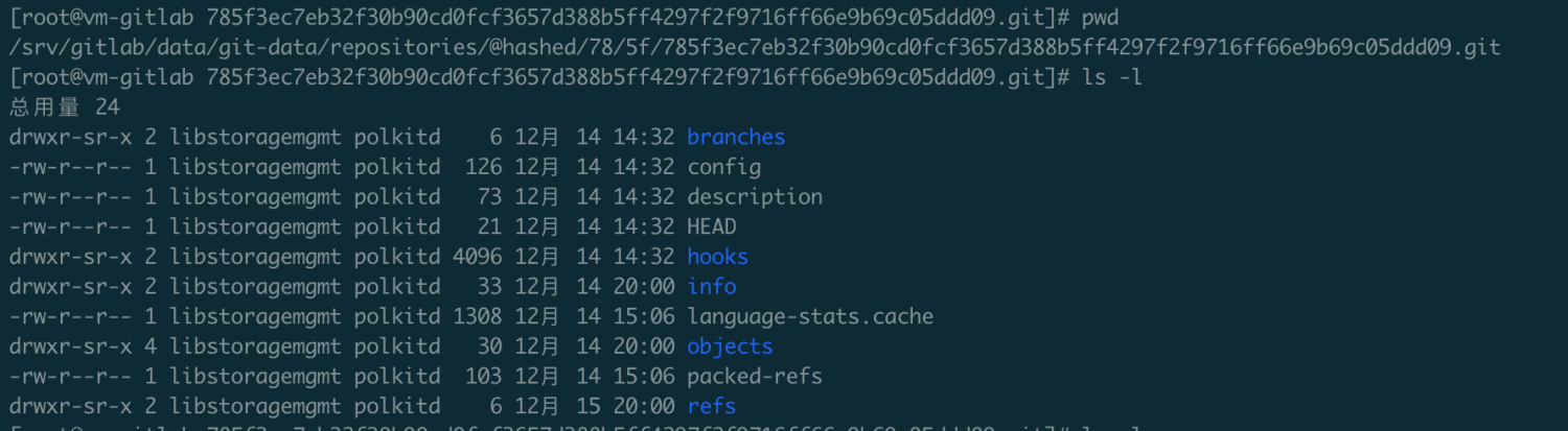 GitLab 服务端 hook 拦截提交到仓库_pre-receive-CSDN博客