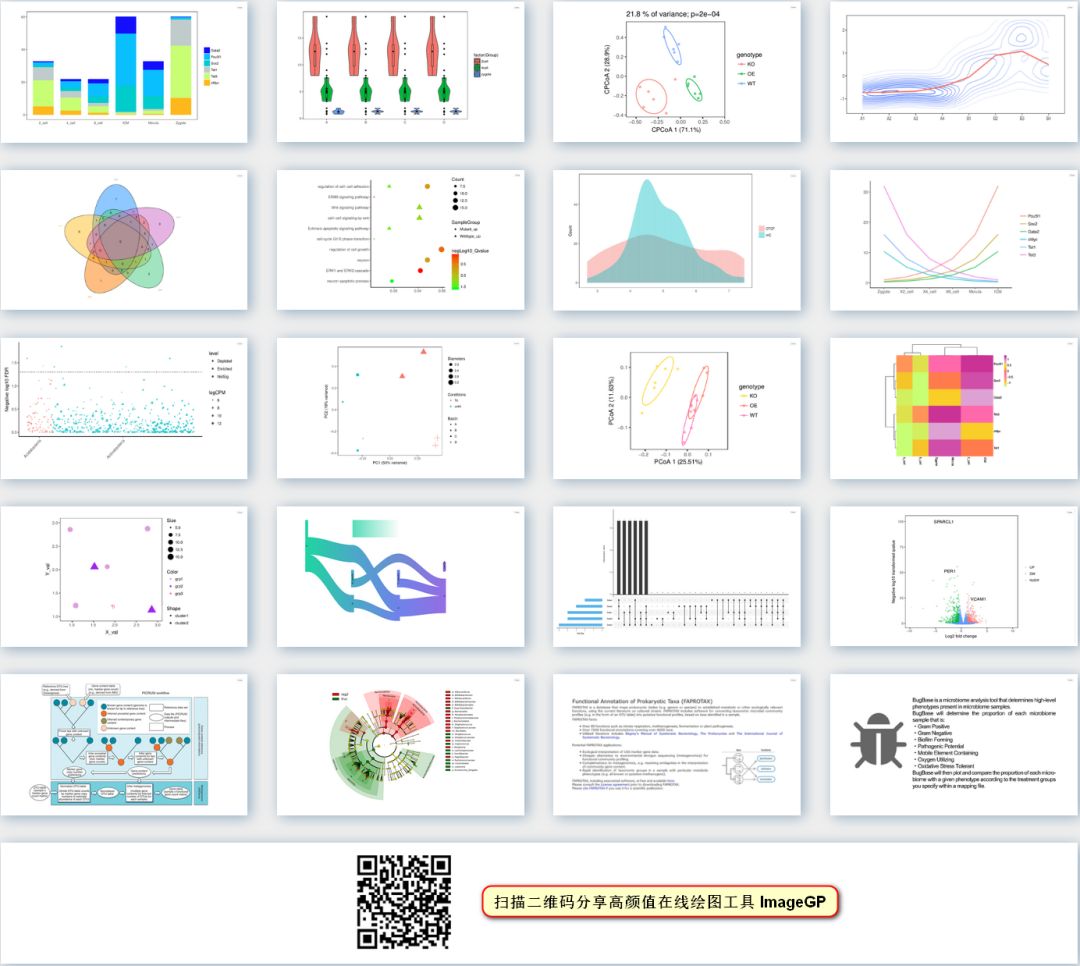 gggenes绘制多物种基因结构比较-CSDN博客