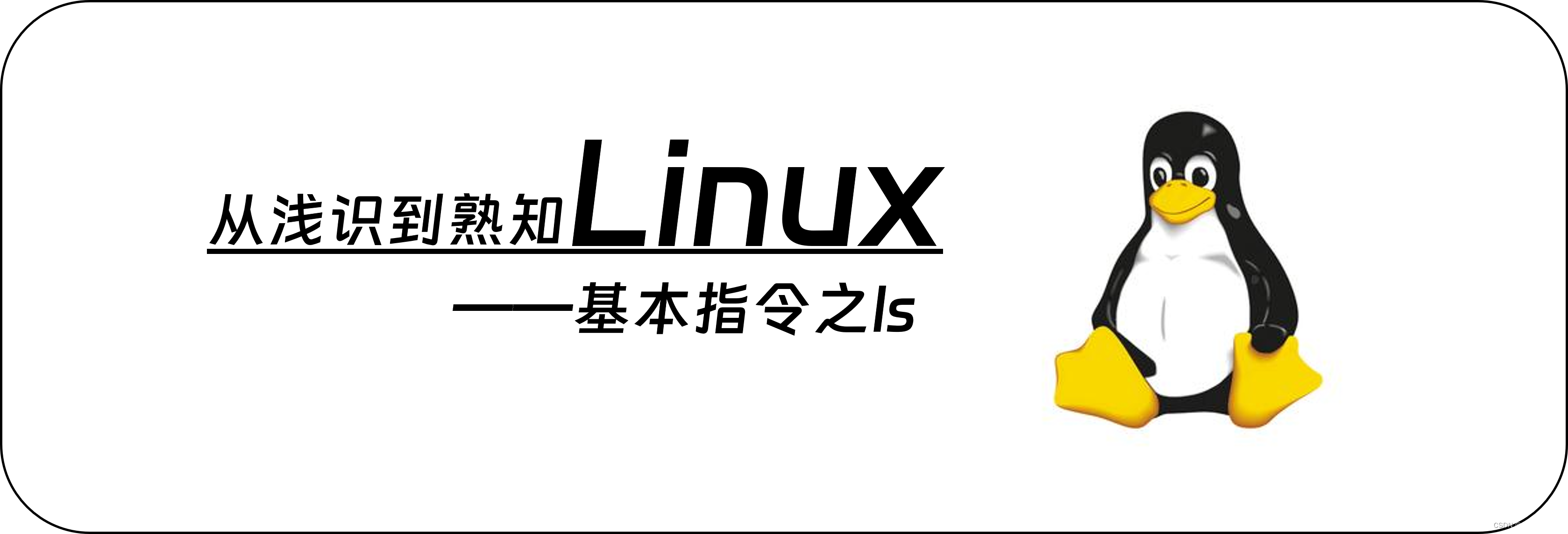 【从浅识到熟知Linux】Linux基本指令之ls_linux ls -n-CSDN博客