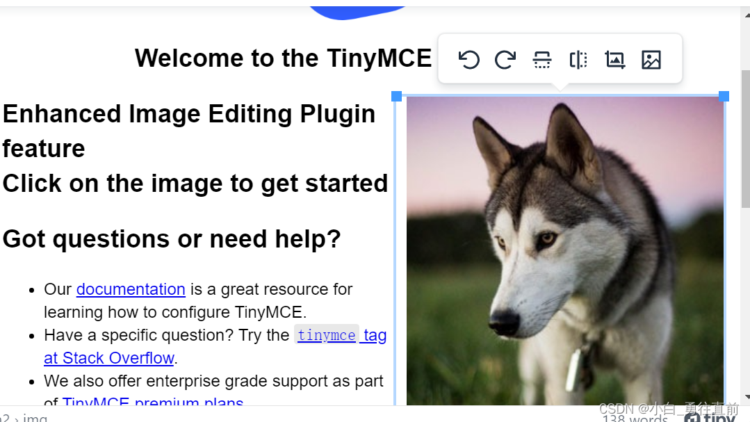 Vue3使用富文本tinymce_vue3 tinymce-CSDN博客