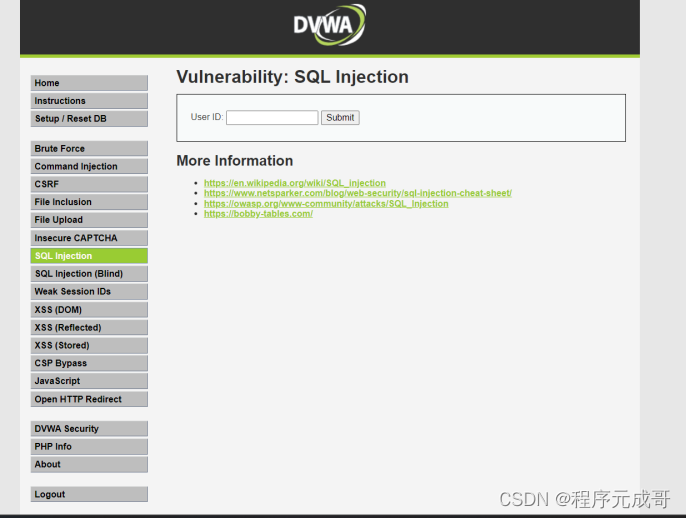 PHP环境搭建与安全检测工具RIPS的安装及应用-CSDN博客