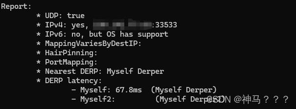自建tailscale derp中继服务器_tailscale derp一键部署-CSDN博客