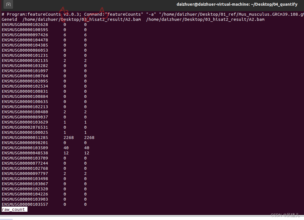 零基础入门转录组上游分析——第五章（表达定量）_--countreadpairs-CSDN博客