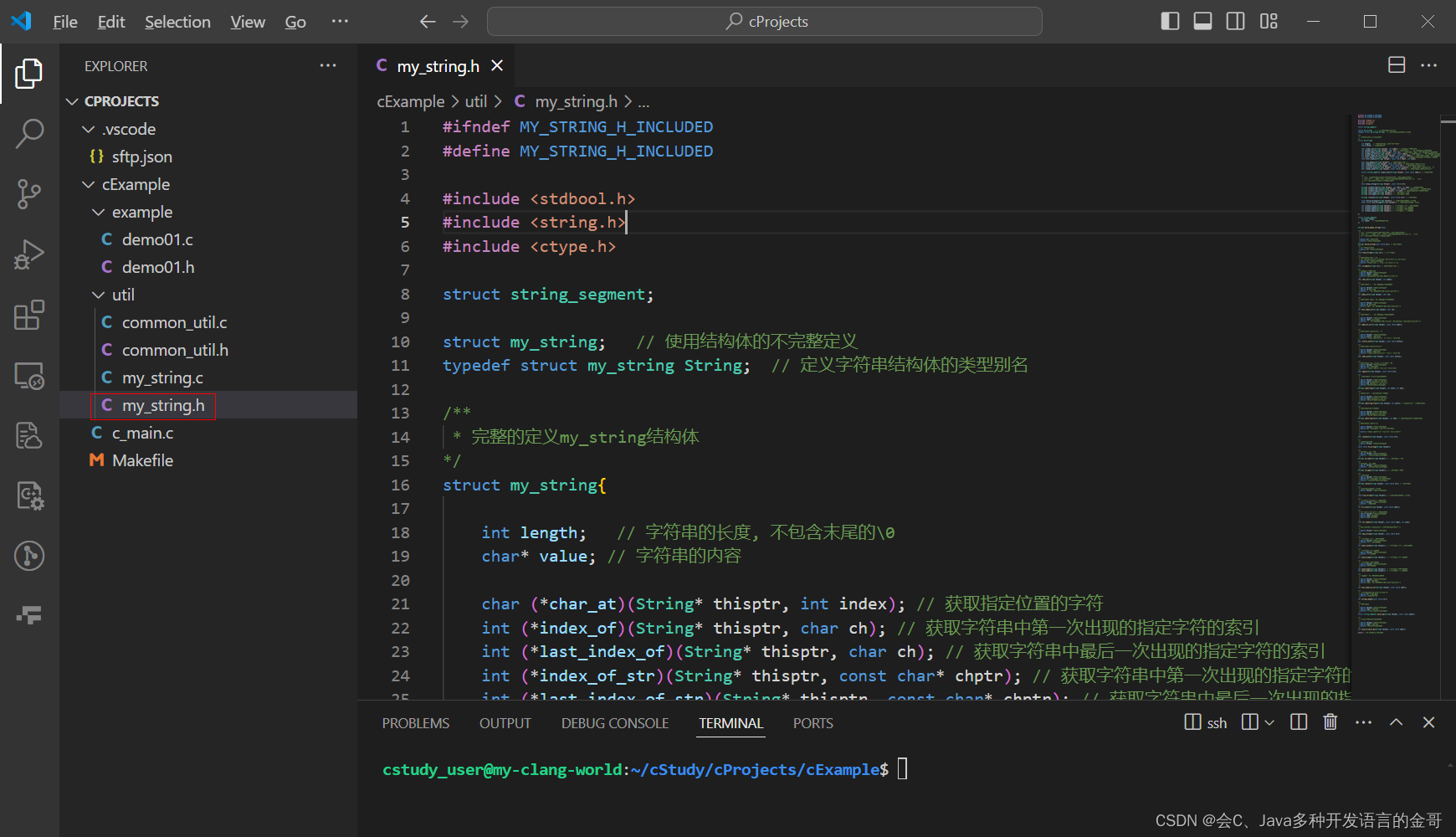 C语言String结构体，模仿Java的String类(一)_结构体处理string-CSDN博客