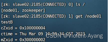 zookeeper的动态扩容_扩容 observer-CSDN博客