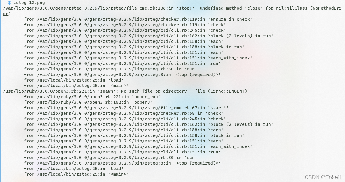 新装zsteg出现一下问题解决方法_zsteg报错-CSDN博客