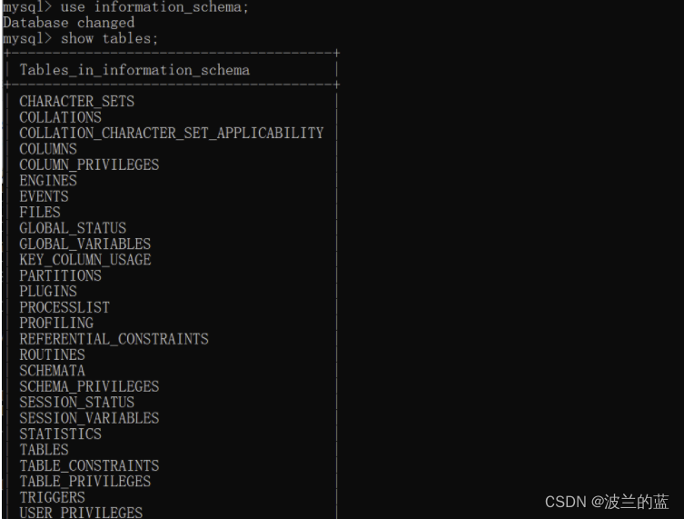 web安全day03-CSDN博客