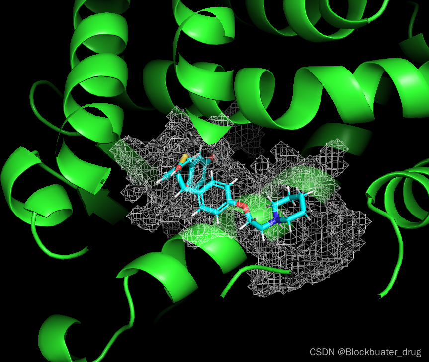 开源分子对接程序rDock使用方法(1)-Docking in 3 steps-CSDN博客