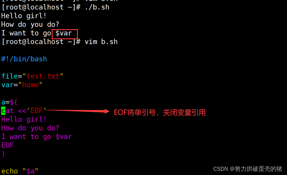 HereDocument与Expect：Linux脚本免交互技术详解-CSDN博客