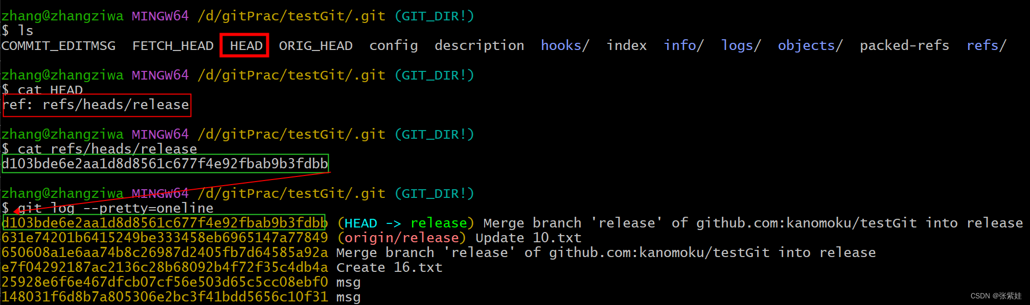 Git 核心概念详解：HEAD、游离 HEAD、origin/HEAD、ORIG_HEAD 和 FETCH_HEAD_detached head-CSDN博客
