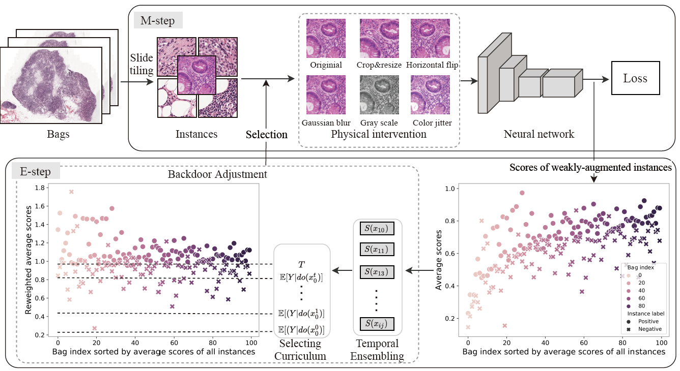 论文阅读 (45)：Interventional Multi-Instance Learning with Deconfounded Instance-Level Prediction-CSDN博客
