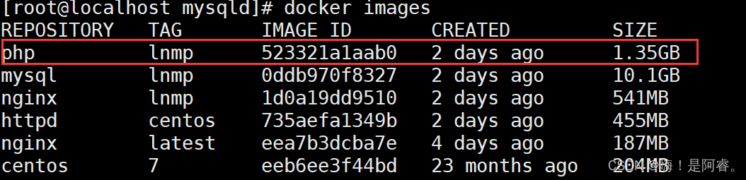 Docker搭建LNMP----（超详细）_docker lnmp-CSDN博客