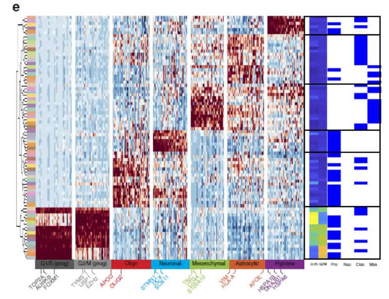 10X单细胞（10X空间转录组）数据分析之约束非负矩阵分解（cNMF）-CSDN博客