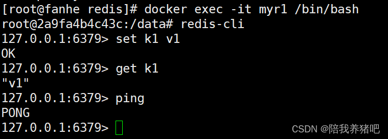 08-Docker安装redis_docker redis6.0.8-CSDN博客