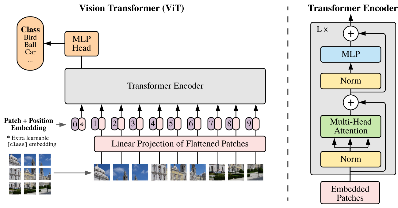 Vision Transformer架构Pytorch逐行实现_torch-pruning transformer-CSDN博客