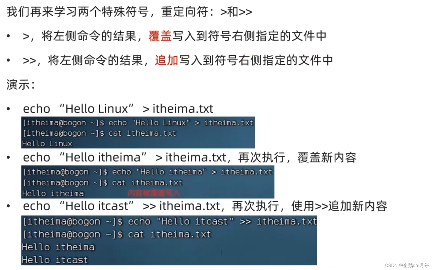 Linux命令进一步学习：which，find，grep，管道符，echo，tail，重定向符，Vim编辑器详细介绍，终端快捷键和小技巧_which echo-CSDN博客