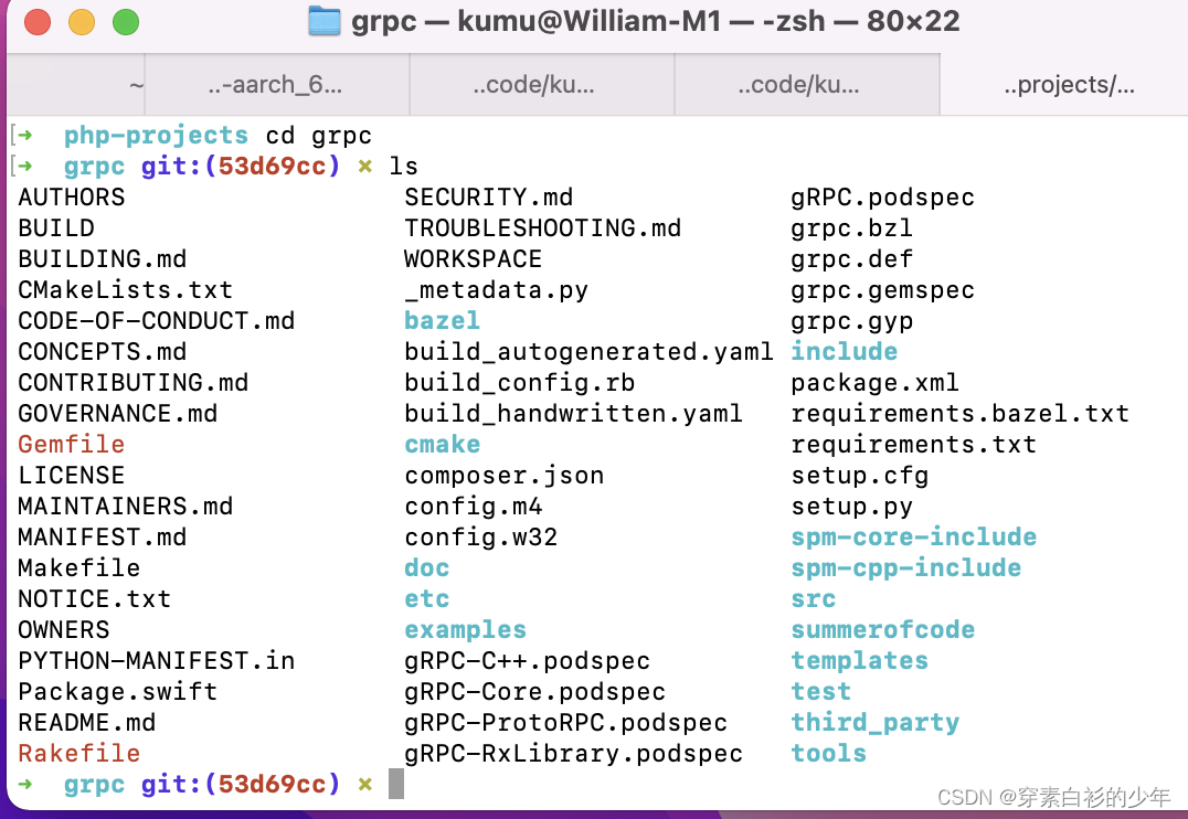 RPC - gRPC简单的demo - 学习/实践_grpc demo-CSDN博客