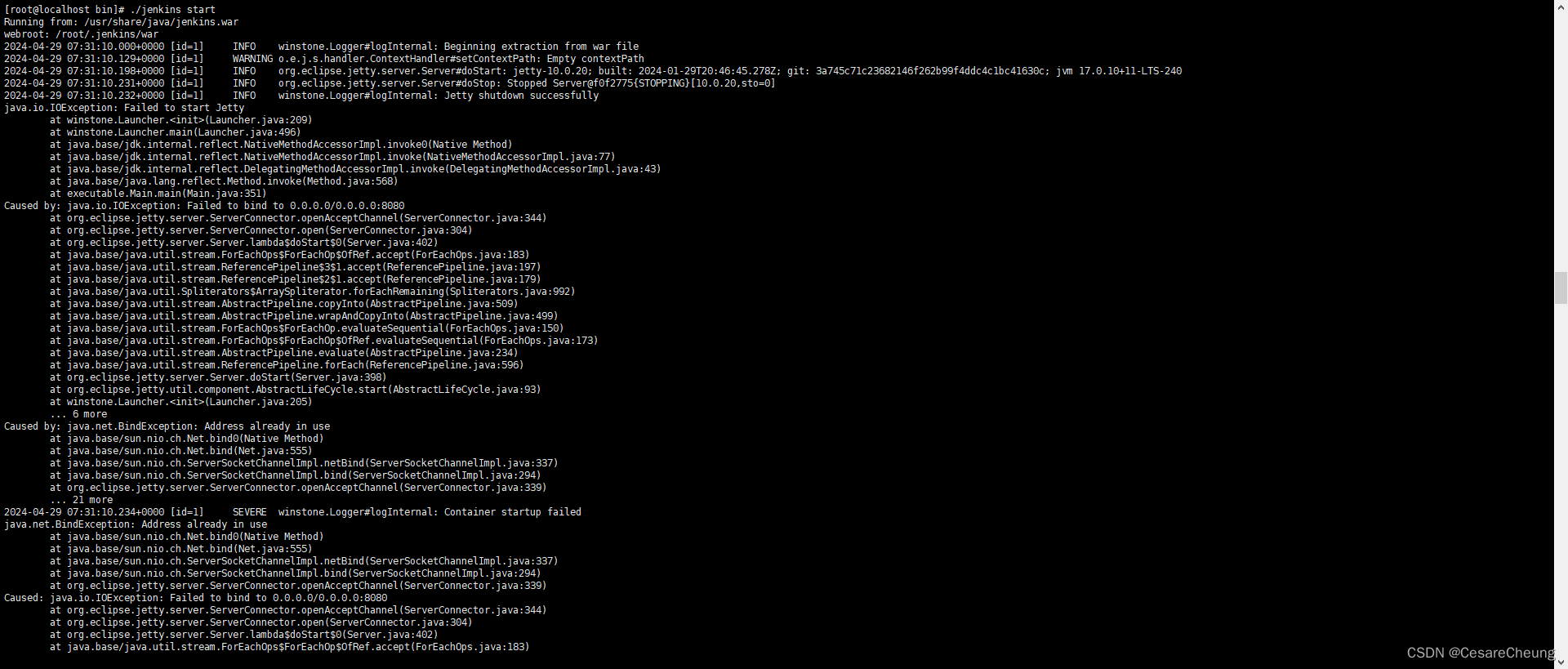 Linux下启动jenkins报错问题解决_java.io.ioexception: failed to start jetty-CSDN博客